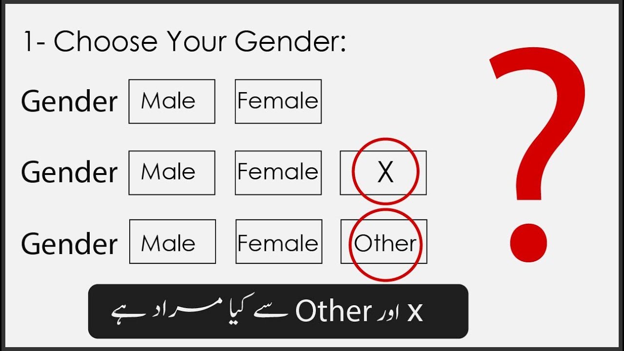 What Does "X" and "Other" Genders Mean? - YouTube