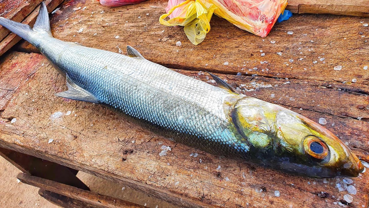 OMG ‼️ VERY RARE MILK FISH CLEANING AND SLICING SKILLS | AMAZING ...