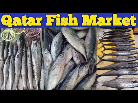 Qatar Fish Market Umm Salal Ali | கட்டார் மீன் மார்க்கெட் | Qatar Fish ...