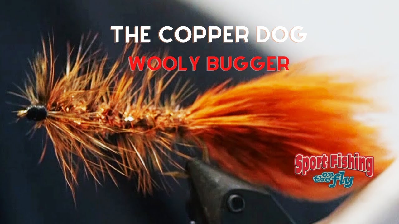 FLY TYING: THE COPPER DOG WOOLY BUGGER - YouTube