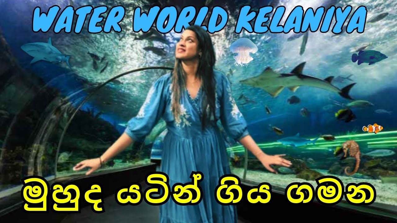 ලංකාවේ trending ම safari එක 🚣‍♀️🌊🦜 Water world kalaniya|Himasha's diary ...