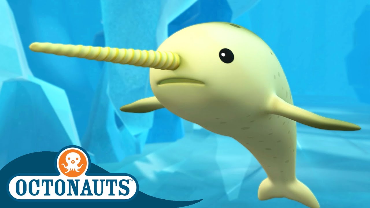 @Octonauts - 🐋 The Narwhal 🧊 | Season 1 | Full Episodes | Cartoons for ...