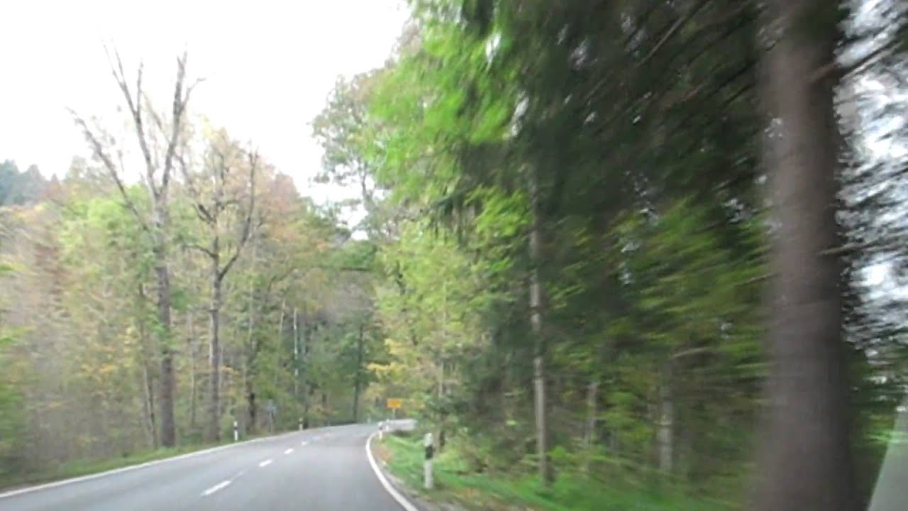 Autumn Leaves-Daniela Schachter - 枯葉-タイガー大越（tp） - YouTube