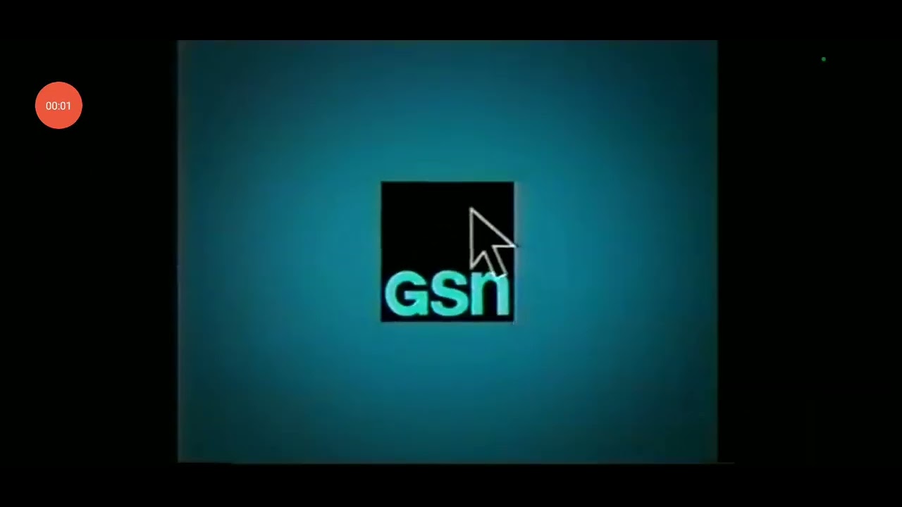 WHO WANTS TO BE A MILLIONAIRE ERIN BURNETT SERIES 4 2251 GSN 2251 2004 ...