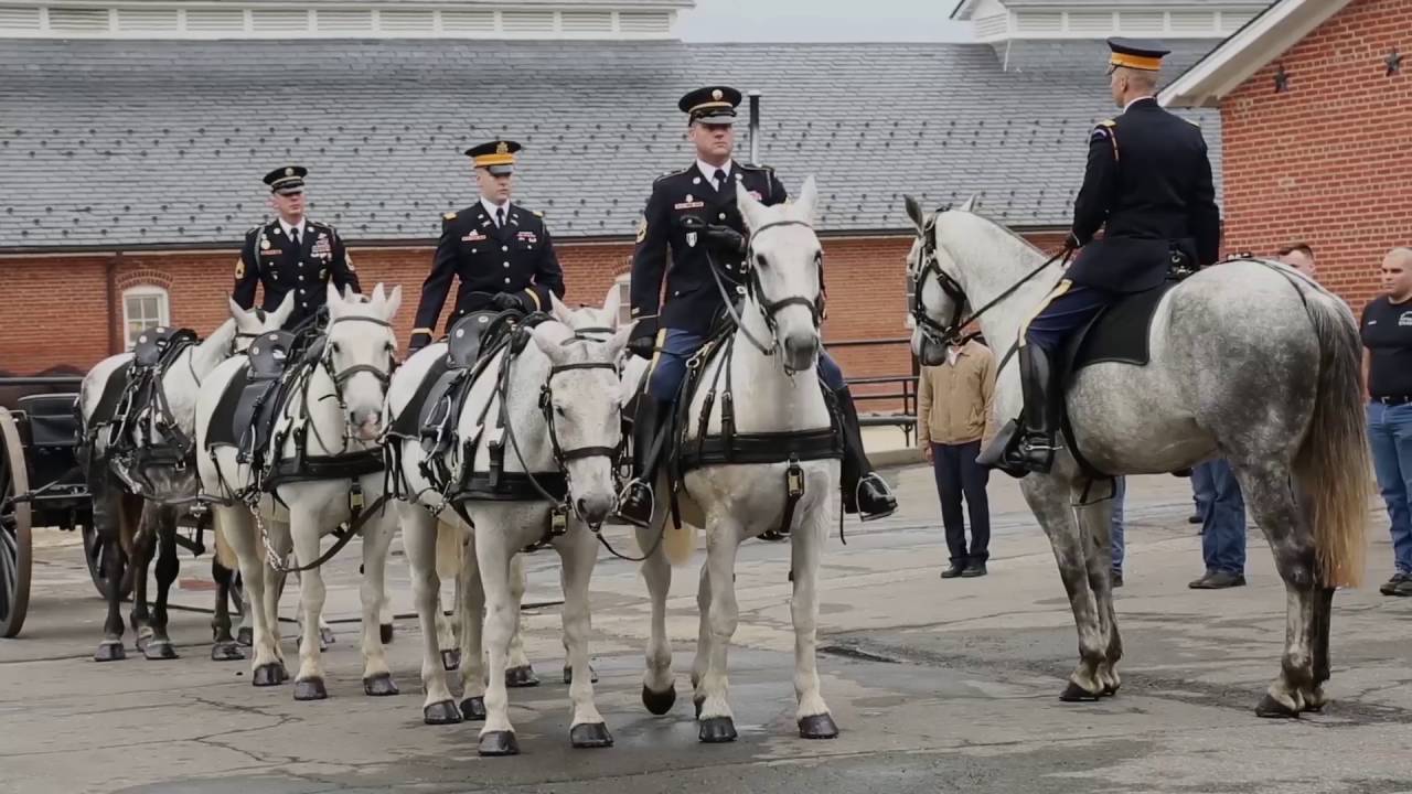 The Old Guard: Caisson Platoon - YouTube