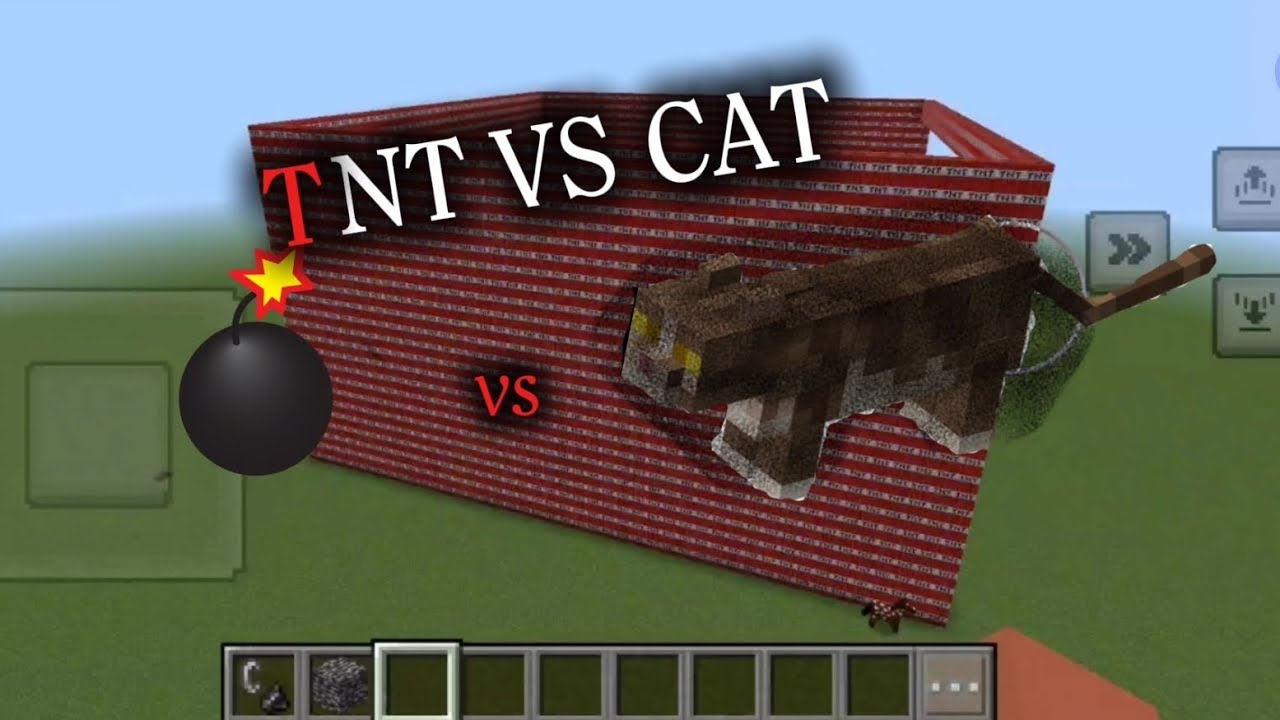 Tnt vs cat in minecraft (flatworlds) - YouTube
