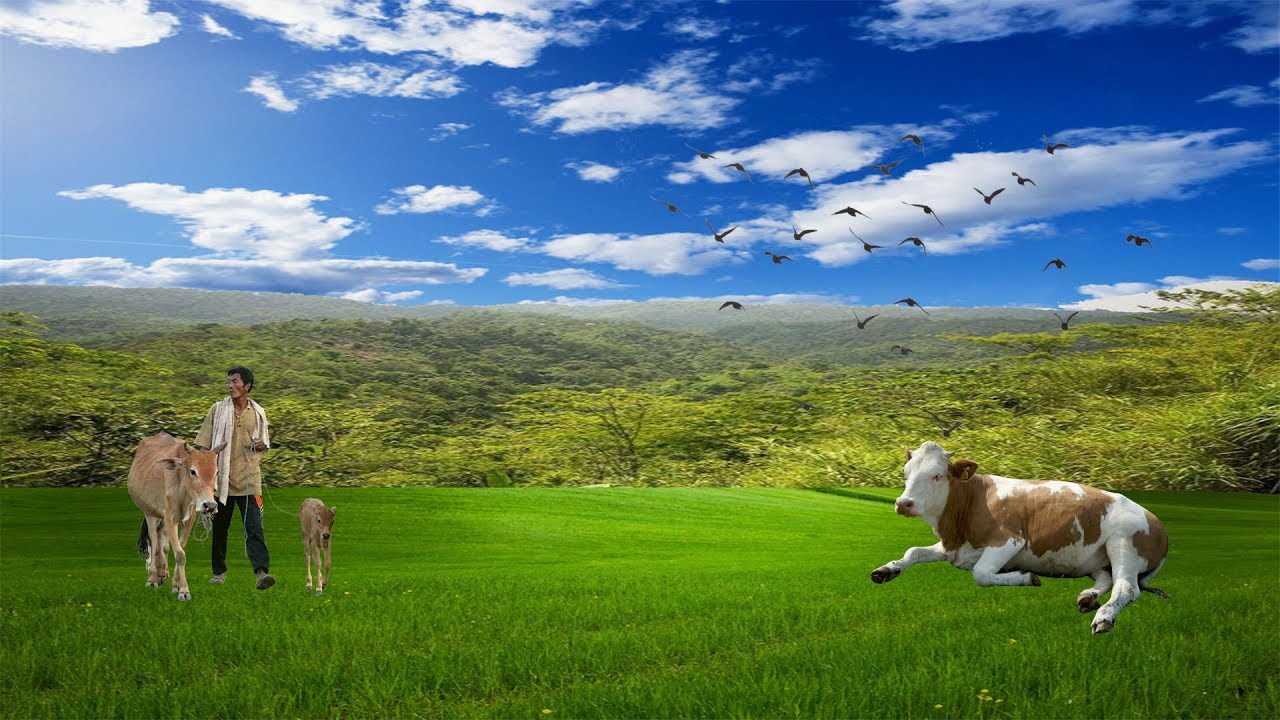 how to make natural photo manipulation design by photoshop - YouTube