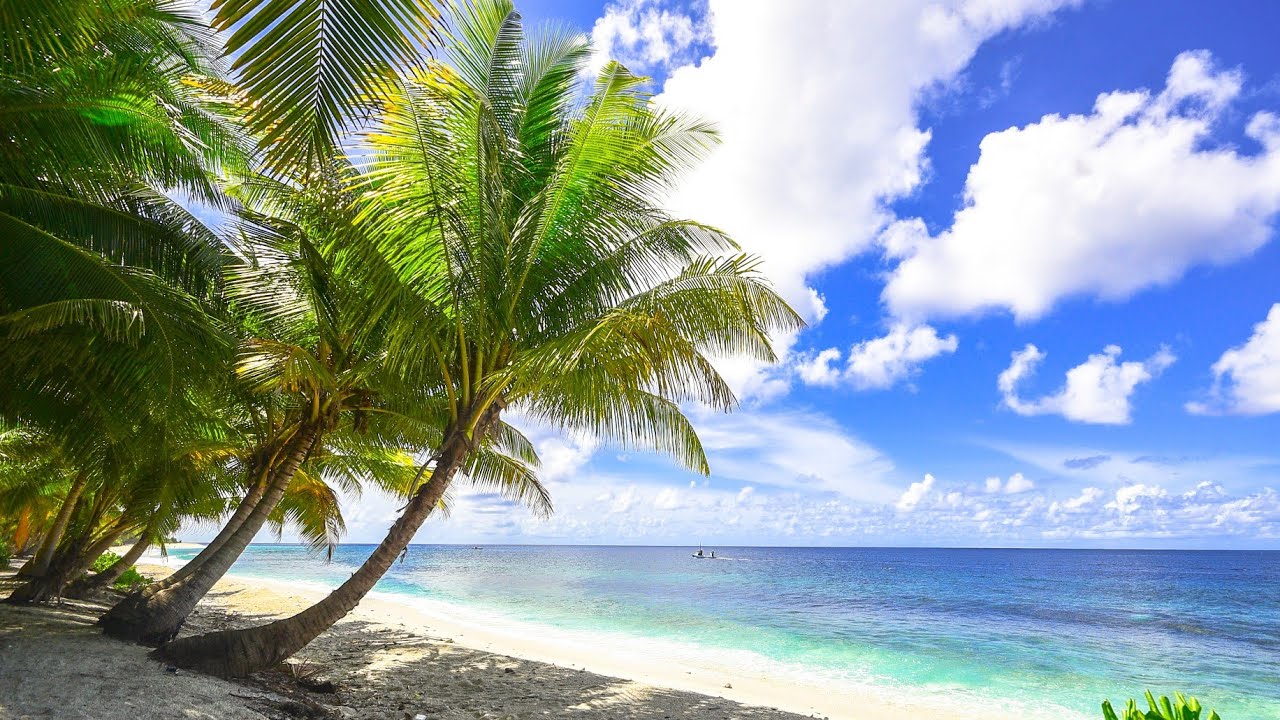 Ocean Ambience on a Tropical Island (Maldives) with Soothing Waves ...
