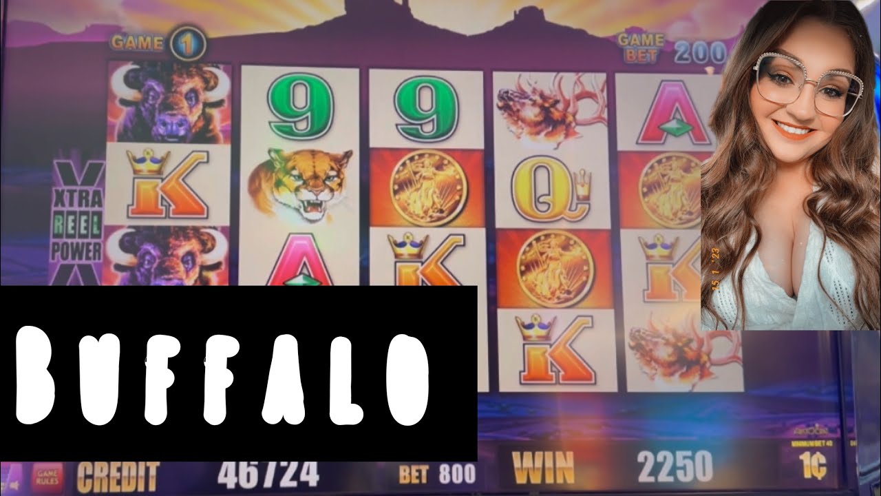 Buffalo Bonus Montage 🦬⚡️ - YouTube