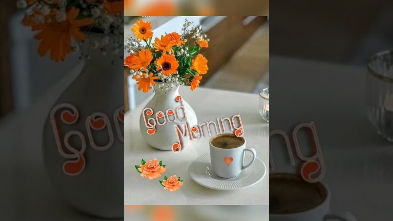 Good morning song - YouTube