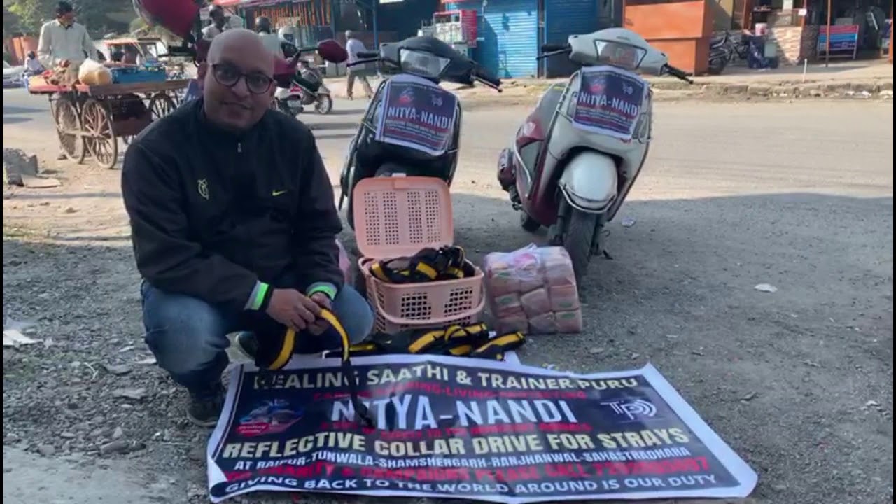 ONE OF THE BEST MEMORIES OF 2020 | COW COLLARS WITH HEALING SATHI - YouTube