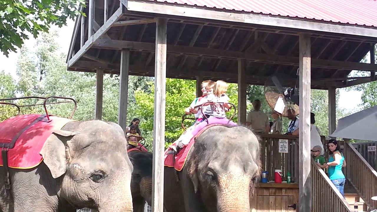 The kids riding an elephant - YouTube