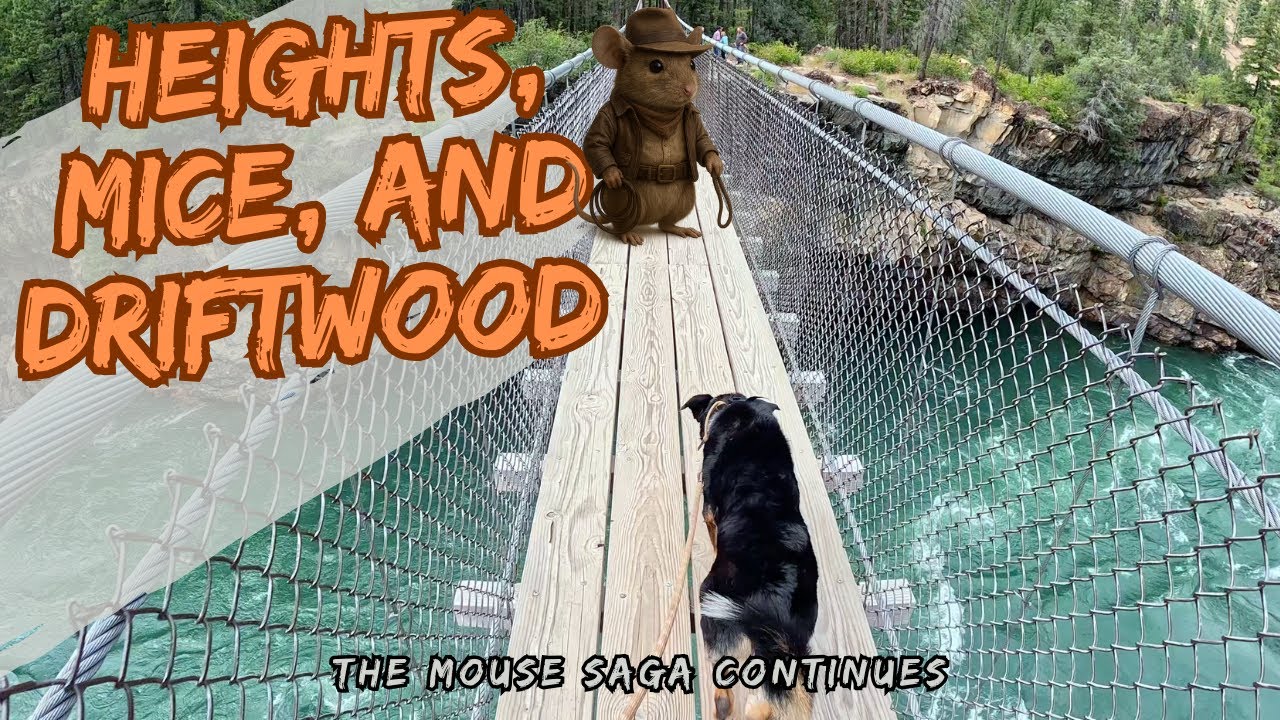 Hitchhiking Mouse and Braving Heights - YouTube