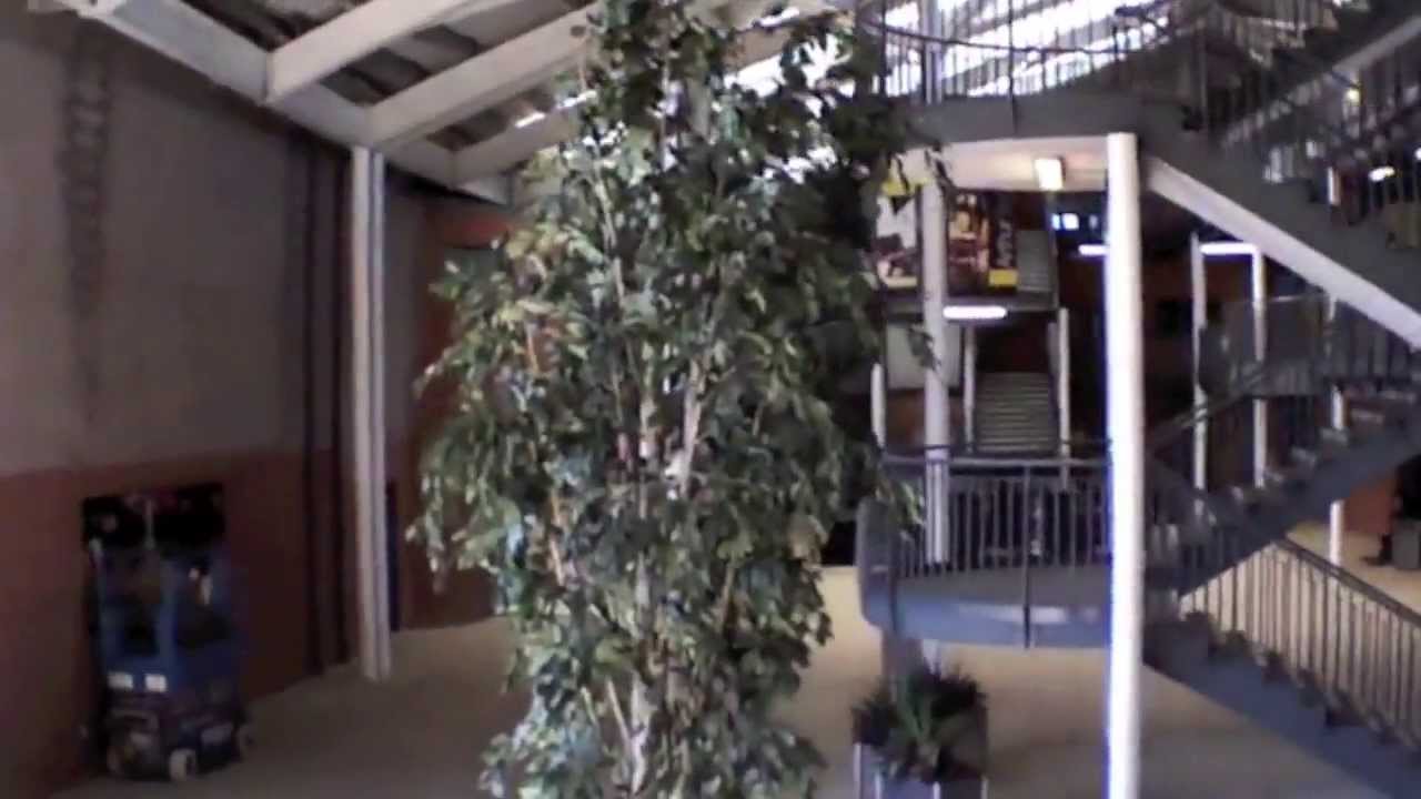 Take a flight around The Arthur Terry School - YouTube