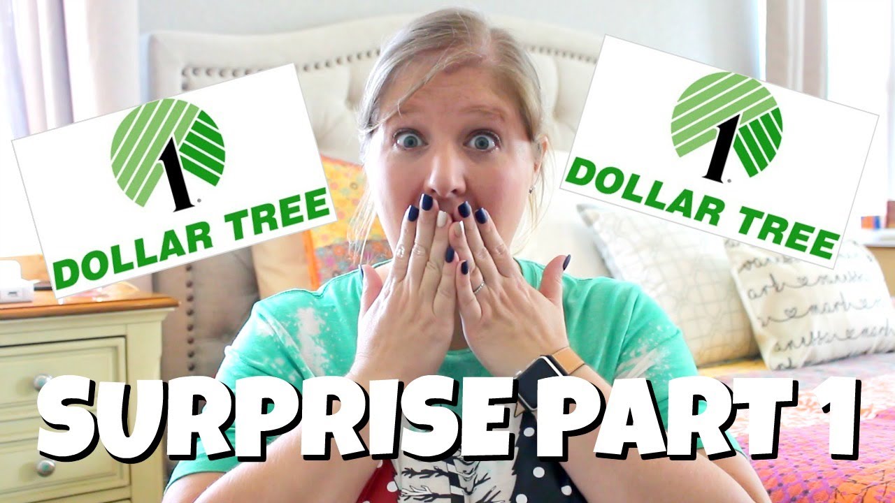 MASSIVE DOLLAR TREE HAUL PART ONE - YouTube