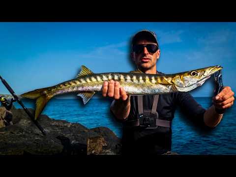 Giornata INTENSA a Shore Jigging! 🎣 Catch & Cook, pesci persi e pesci ROSA