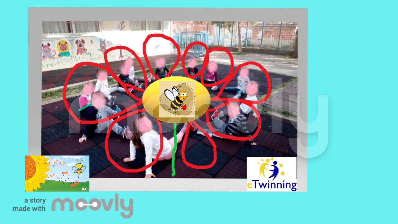 e-twinning program - YouTube