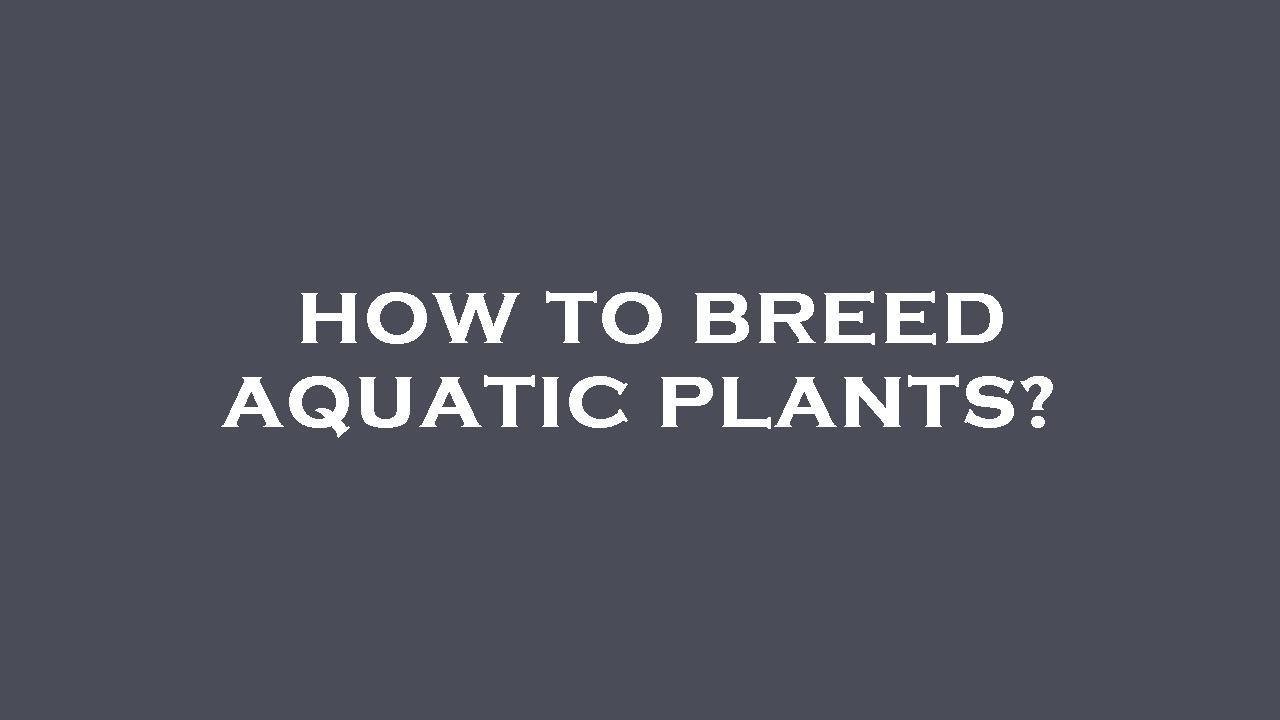 How to breed aquatic plants? - YouTube