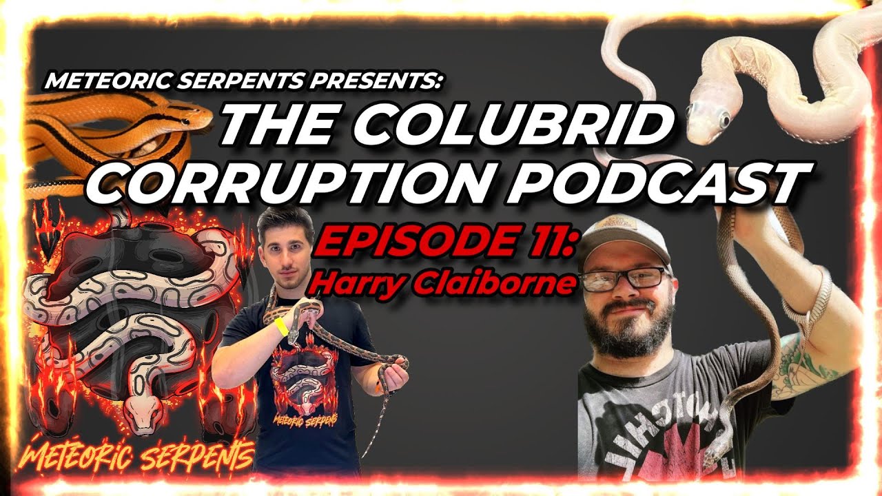 Episode 11: Harry Claiborne - The Colubrid Corruption Podcast - YouTube