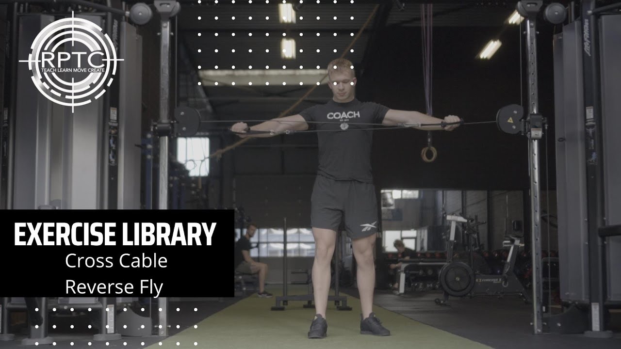 Cross Cable Reverse Fly RPTC Exercise Library - YouTube