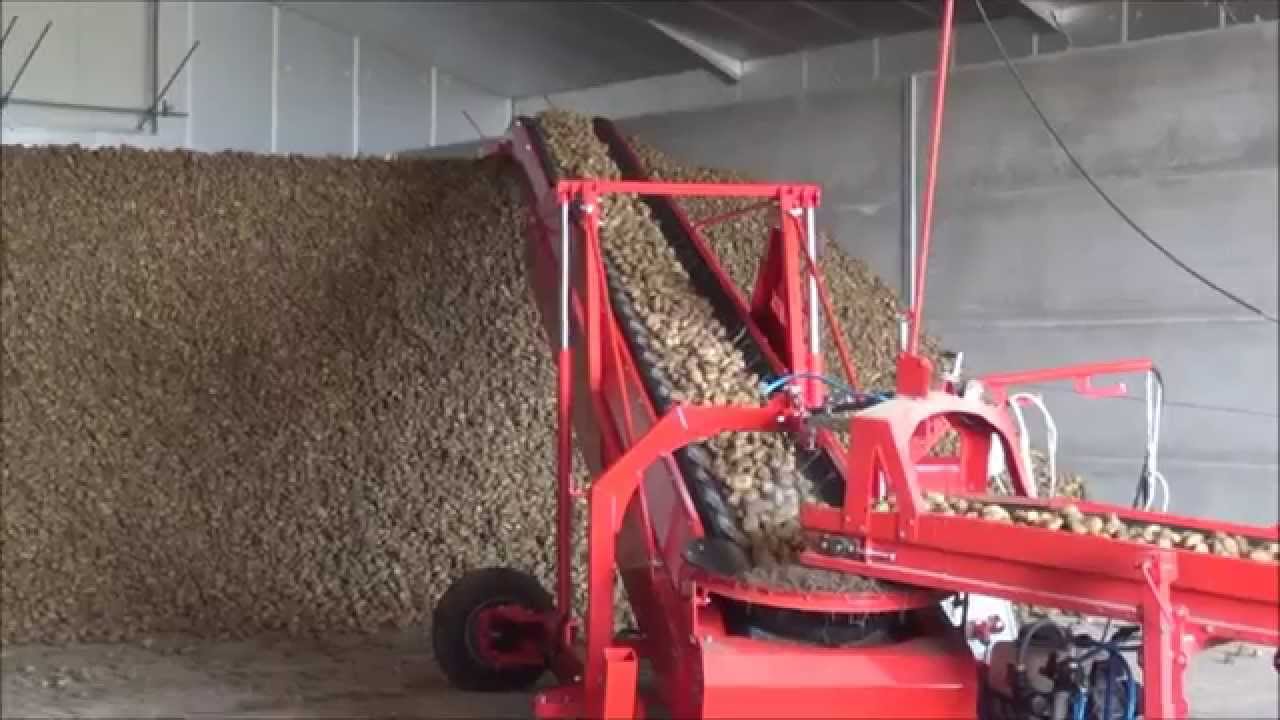 Store loader DOWNS for potato and onions - YouTube