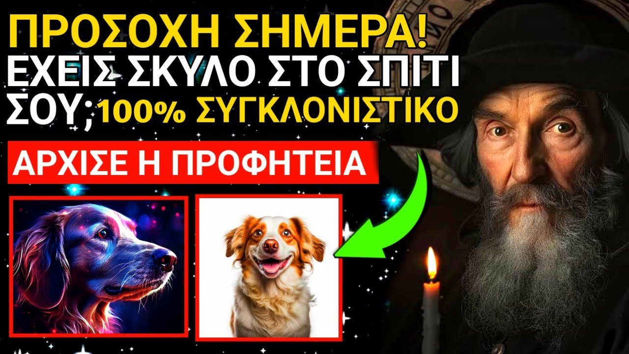 🌟 ΣΥΓΚΛΟΝΙΣΤΙΚΟ MEGA ΠΡΟΦΗΤΕΙΑ ΓΙΑ ΟΣΟΥΣ ΕΧΟΥΝ ΣΚΥΛΟ ΣΤΟ ΣΠΙΤΙ / ΤΙ ...