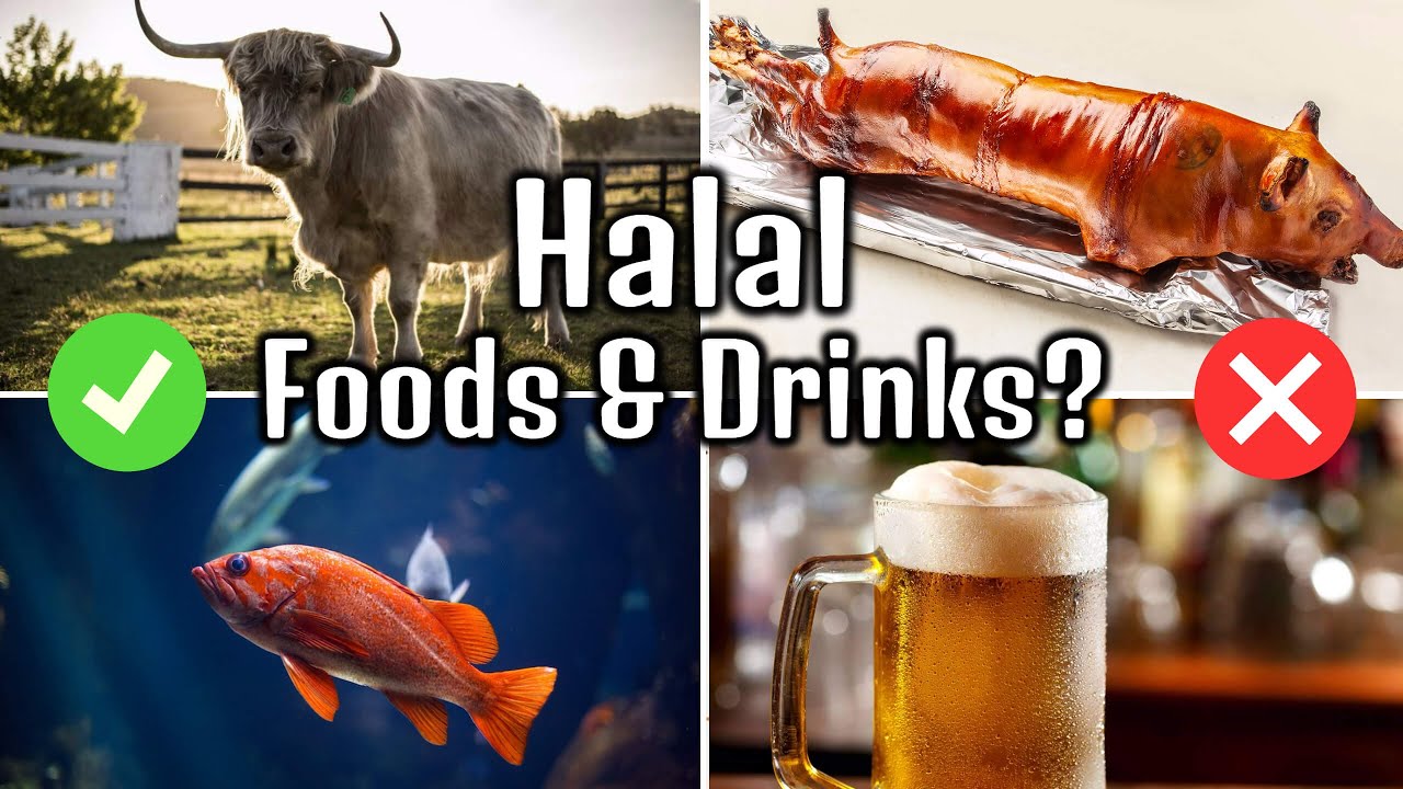 HALAL vs. HARAM Explained: What Can (or Can't) Muslims EAT? - YouTube