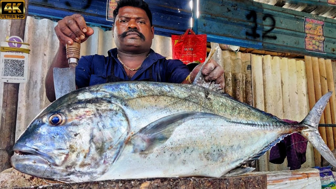 KASIMEDU 🔥 SPEED SELVAM | BIG SIZE TREVALLY FISH CUTTING VIDEO | 4K ...
