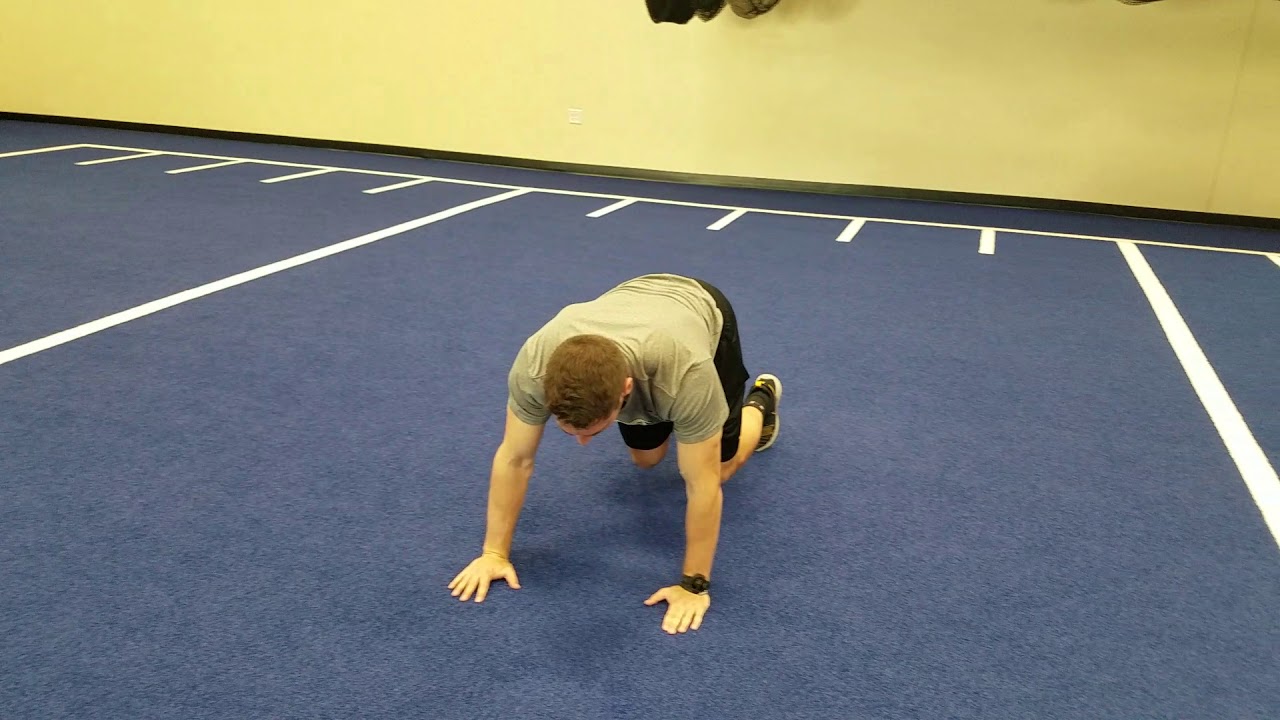 Quadruped Lateral Crawl - YouTube