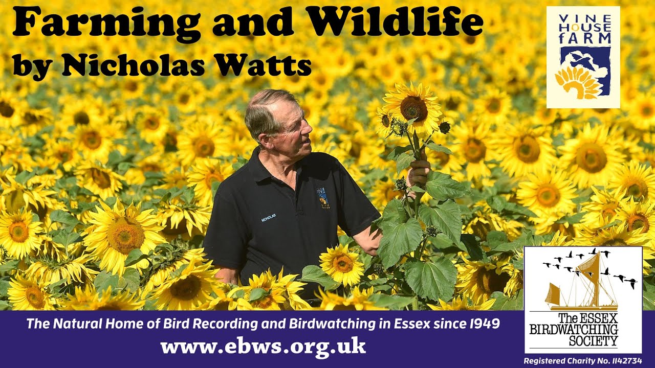 Farming and Wildlife by Nicholas Watts - YouTube