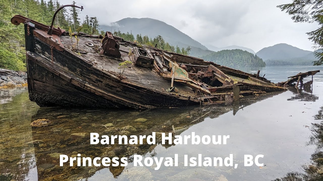 Barnard Harbour & 40+ Humpbacks in Whale Channel - Princess Royal ...