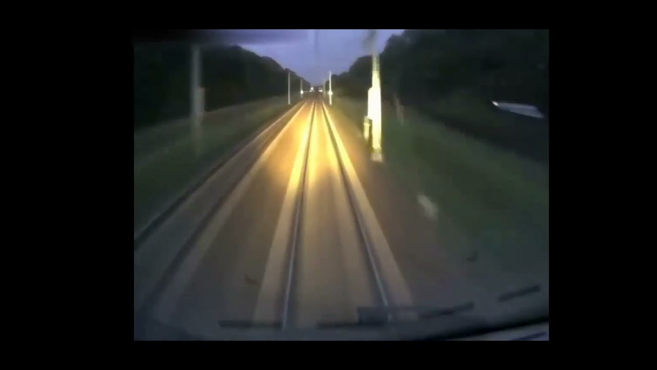 Deer gets hit by train and explodes - YouTube