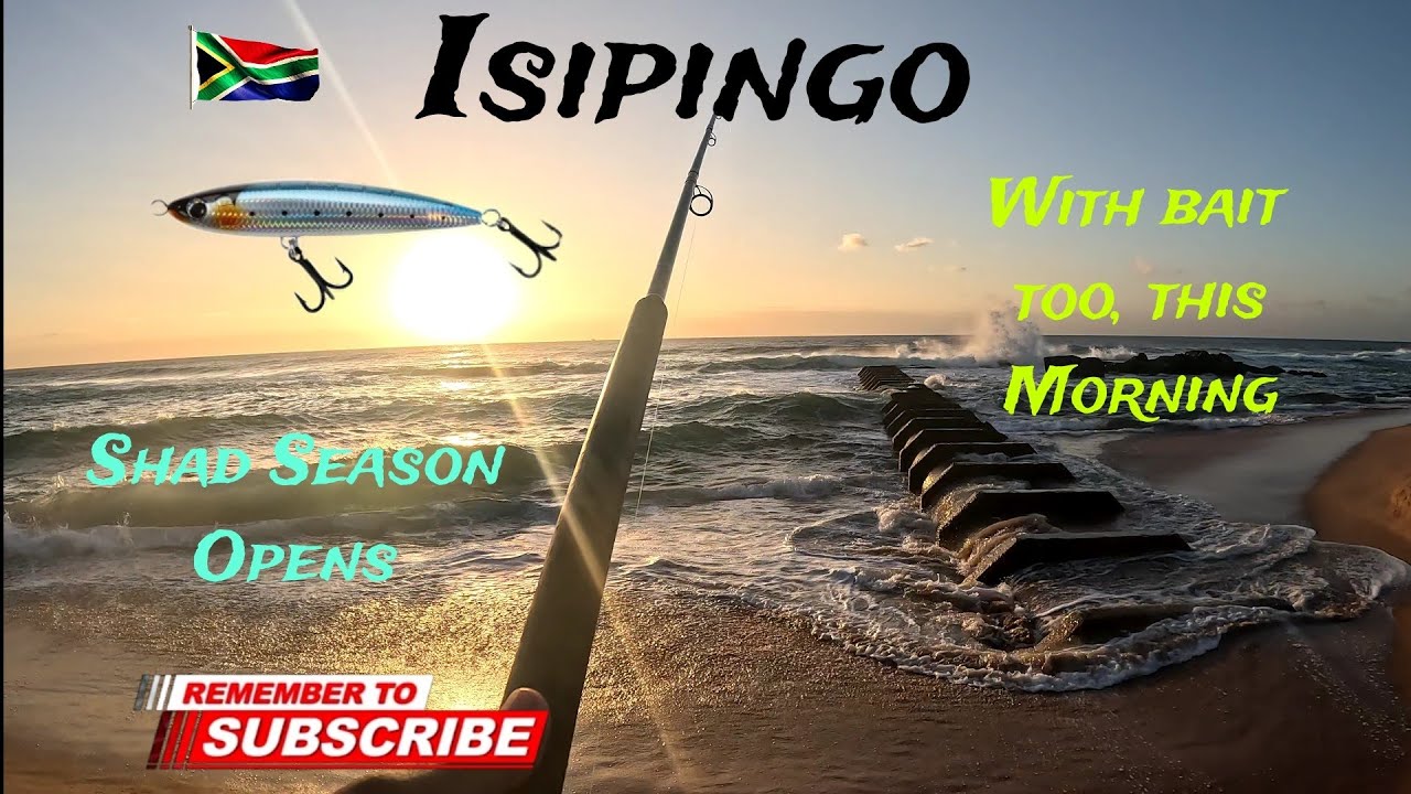OFFROAD4LIFE, Fishing in Isipingo for Shad, Shad Season officially ...