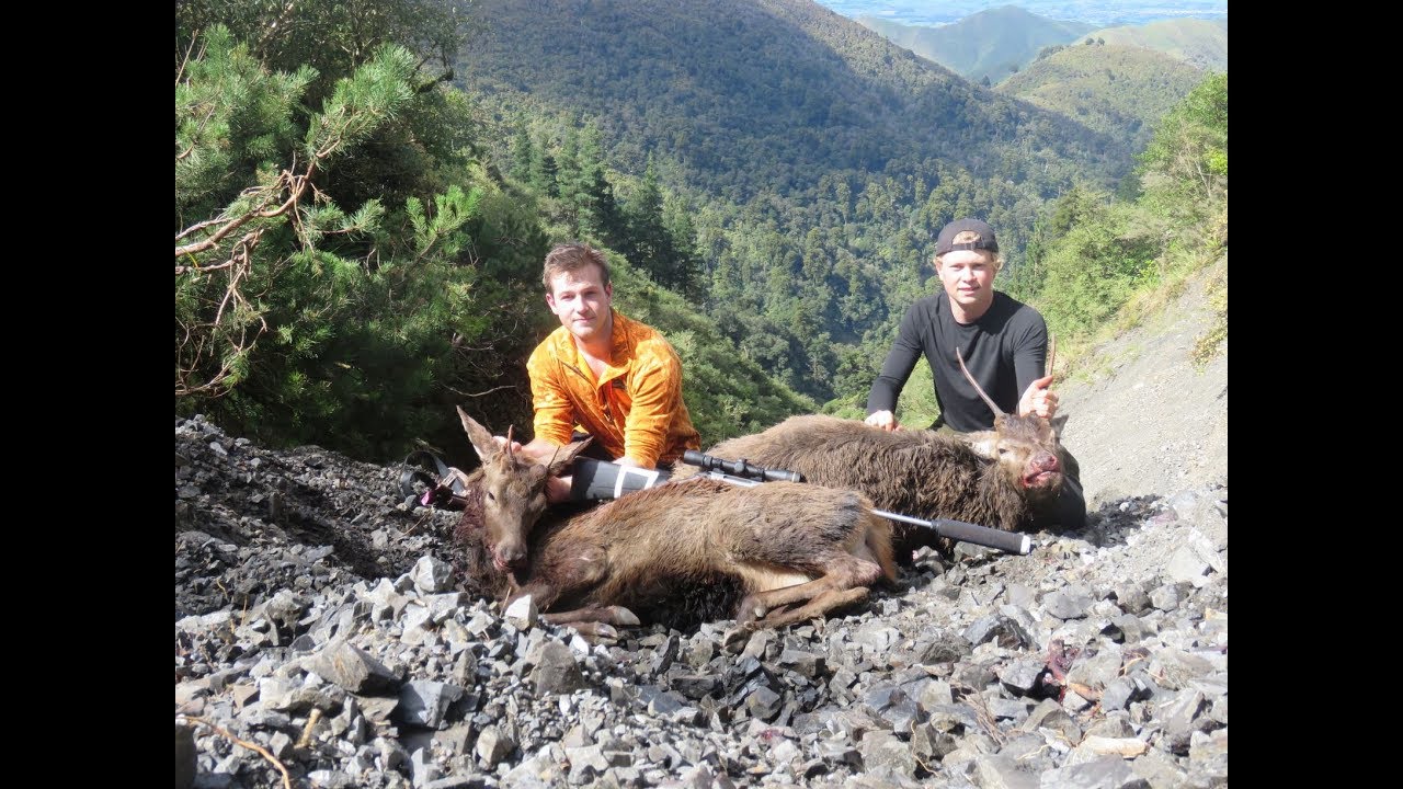 Slaying Spikers - Ruahine Ranges Hunting - YouTube