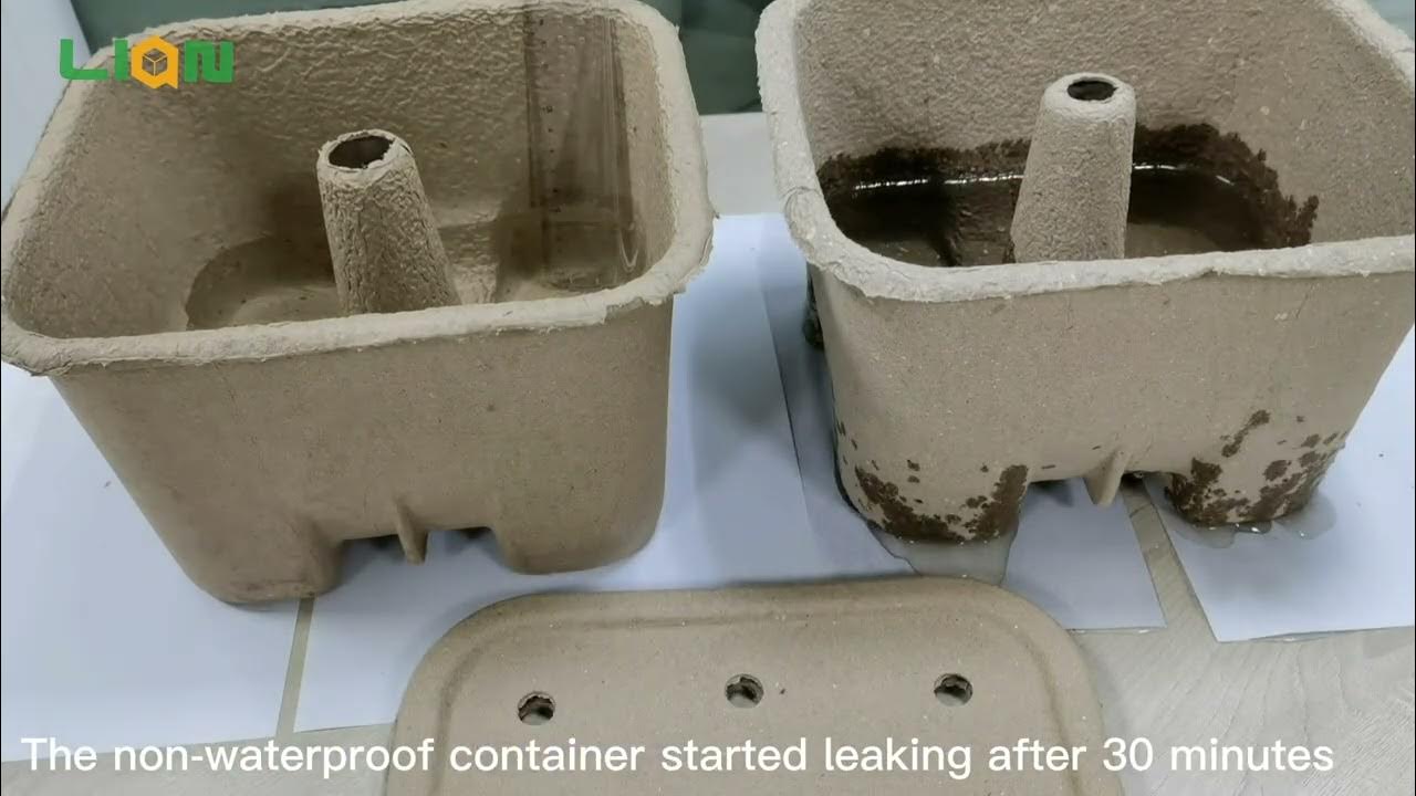 Waterproof Test | Lian Pack Molded Pulp Packaging - YouTube