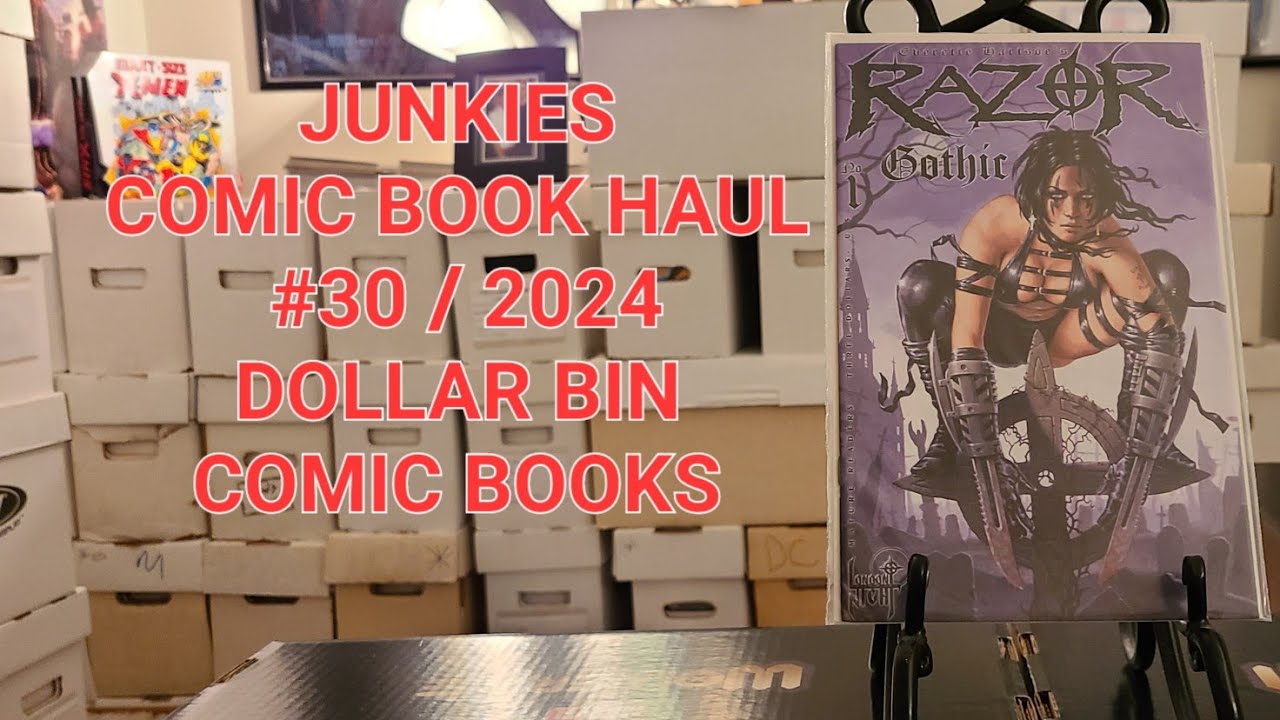JUNKIES COMIC BOOK HAUL #30 / 2024. DOLLAR BIN COMIC BOOKS. - YouTube