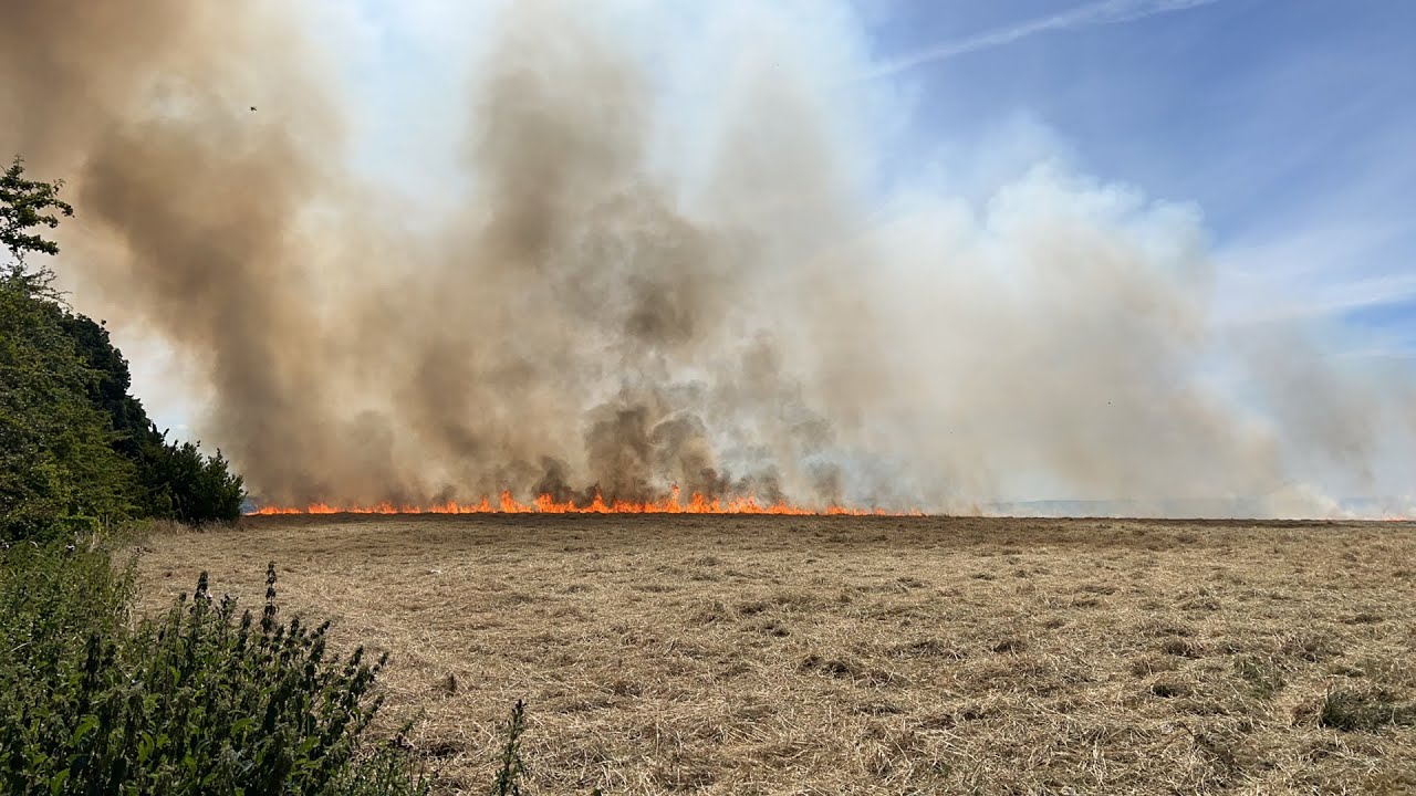 Fields on fire | Joe Seels | The Content Farm