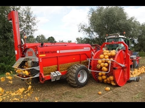 How To Harvest Pumpkins In Farm, Extreme Modern and High End ...
