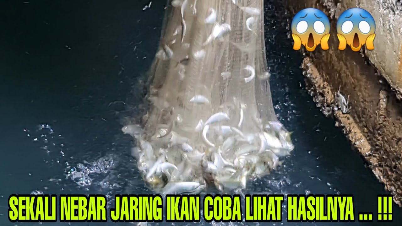 Menjaring Ikan Di Malam Hari Kondisi Laut Angin Baratan Coba Lihat ...