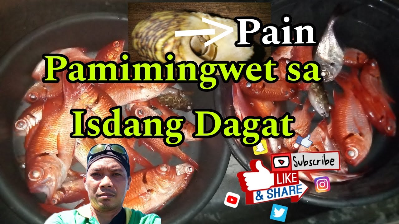 Pamimingwit |@kawawang cowboy - YouTube