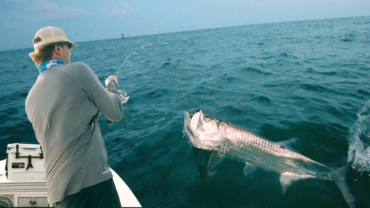 20+ HOOKUPS!! NONSTOP TARPON AND SAILFISH ACTION! - YouTube