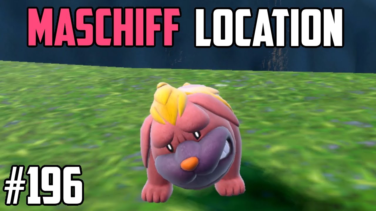How to Catch Maschiff - Pokémon Scarlet & Violet - YouTube