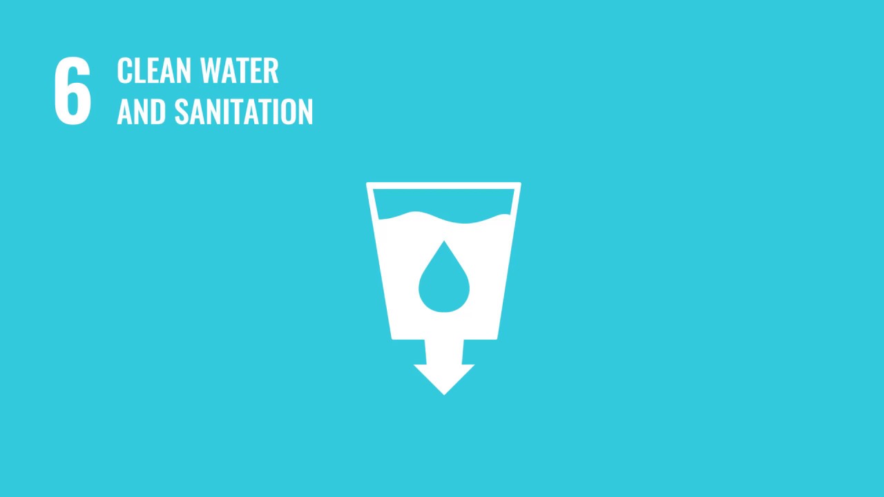 SDG Goal 6 on Clean Water and Sanitation Featuring Marwan Dagher - YouTube