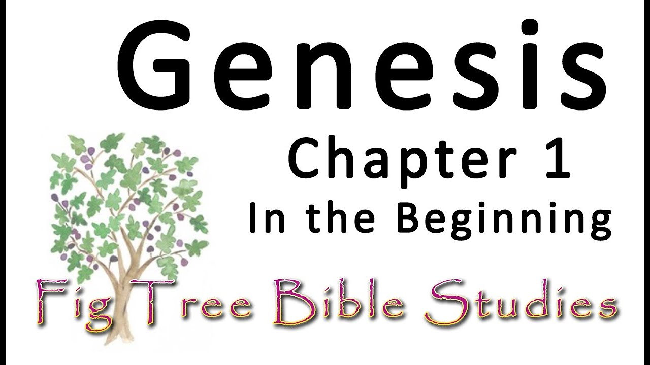 Genesis 1 (In the Beginning) - YouTube