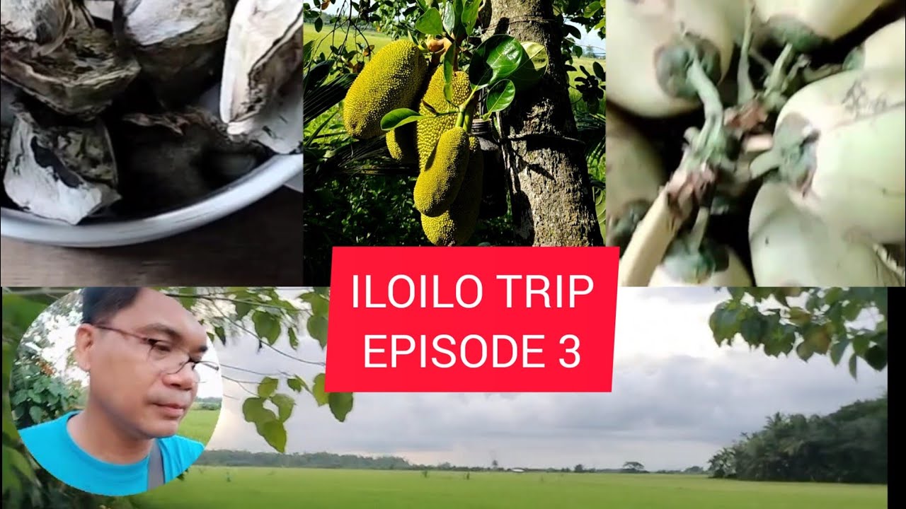 SIMPLING BUHAY SA BUKID -My Iloilo Journey Episode 3- - YouTube