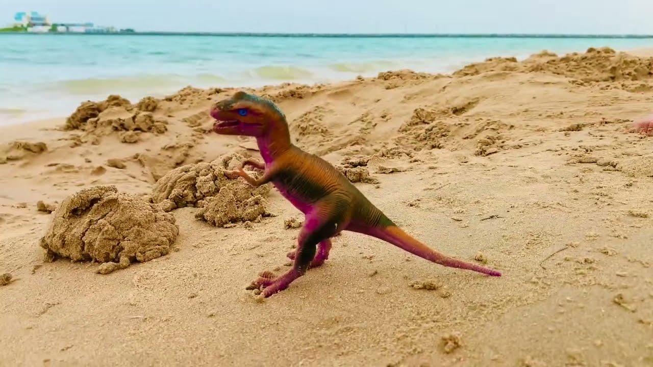Dinosaur at Beach || T-Rex || Apatosaurus || Beach - YouTube