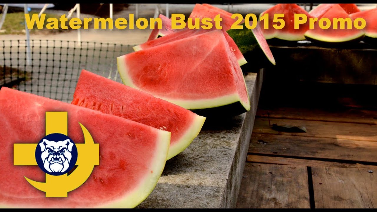 Lambda Chi Alpha Watermelon Bust 2015 Promo - YouTube