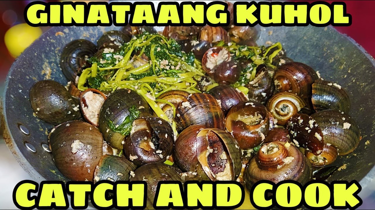 KUHOL CATCHING IN LAGUNA LAKE | GINATAANG KUHOL | NAMINGWIT, NANIKSAY ...