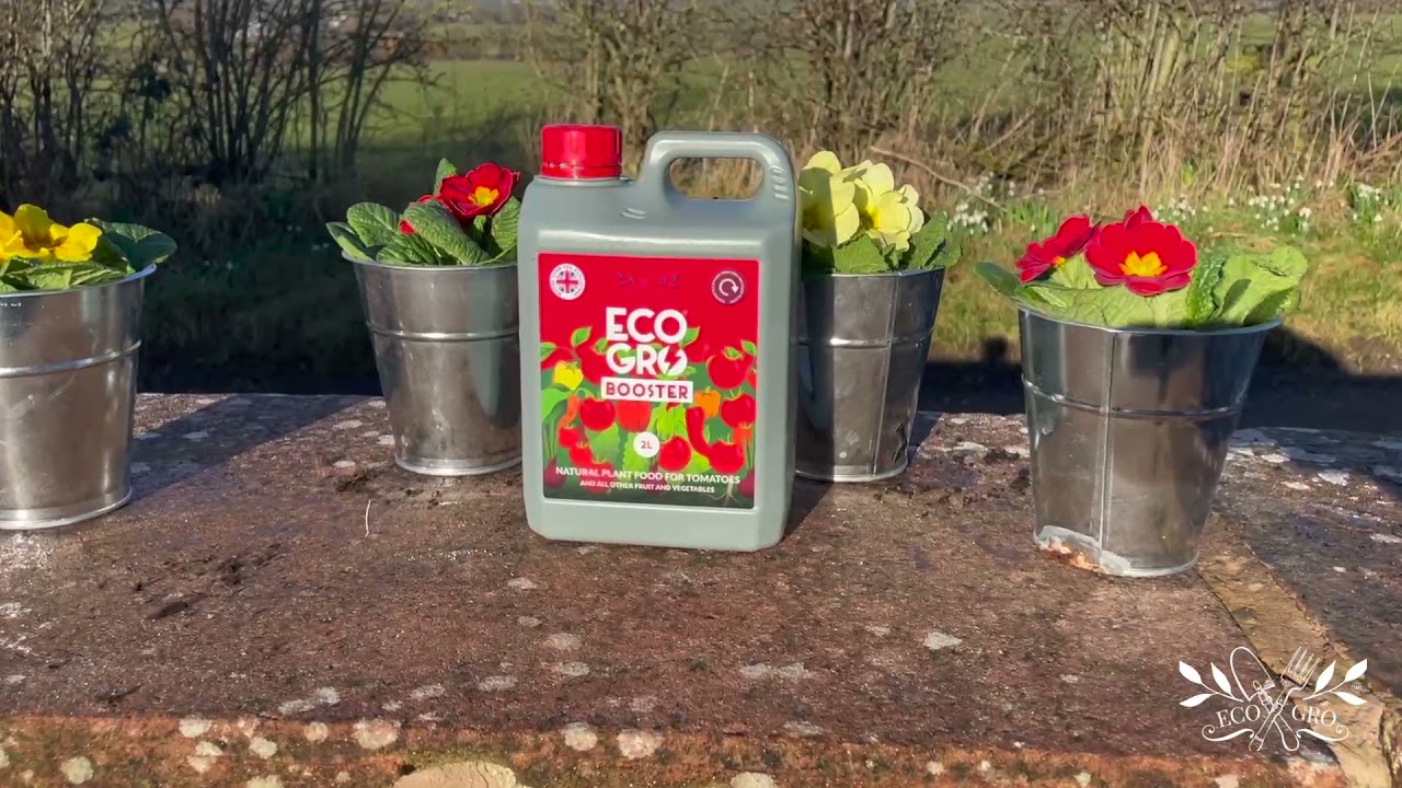 Peter Barratt Garden Centre Stockton | Fasci Garden