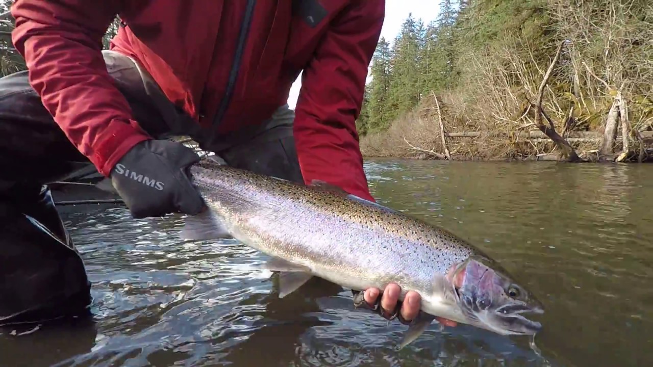 Situk River Spring Steelhead Fishing - YouTube